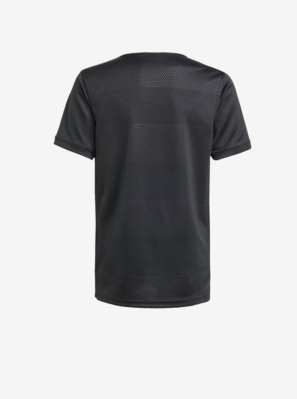 Shop All Blacks Merch & Apparel | Stirling Sports