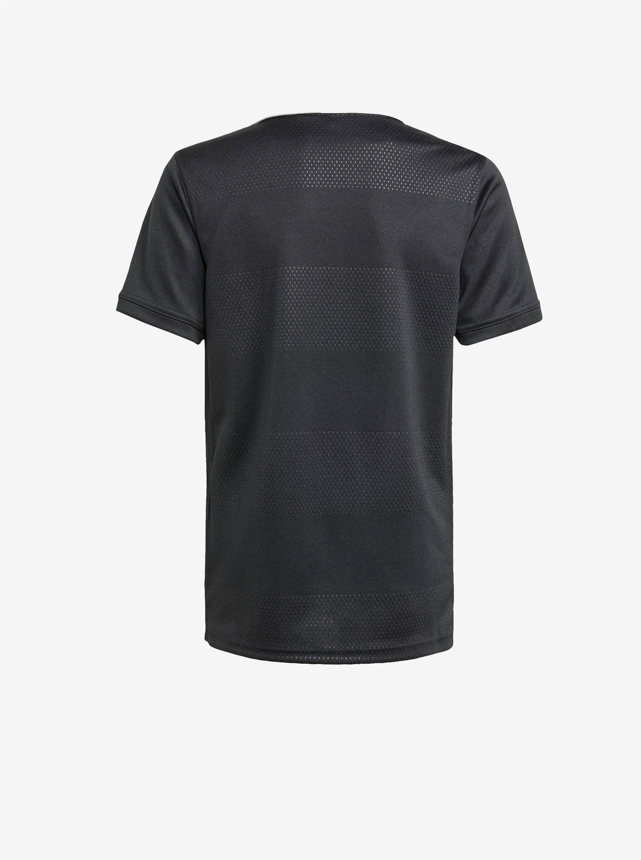 Shop All Blacks Merch & Apparel | Stirling Sports